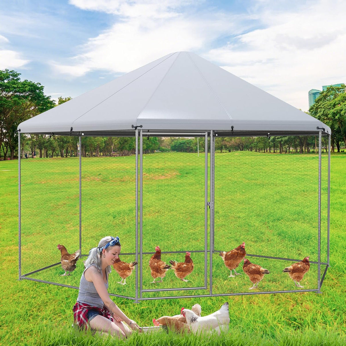 13ft Hexagon Walk-in Chicken Run with Roof Cover – Heavy Duty Outdoor ...
