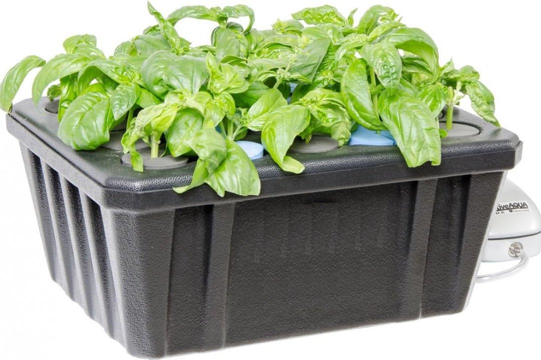 New 20-Site Hydroponic Clone & Grow System – Compact Recirculating Clo ...