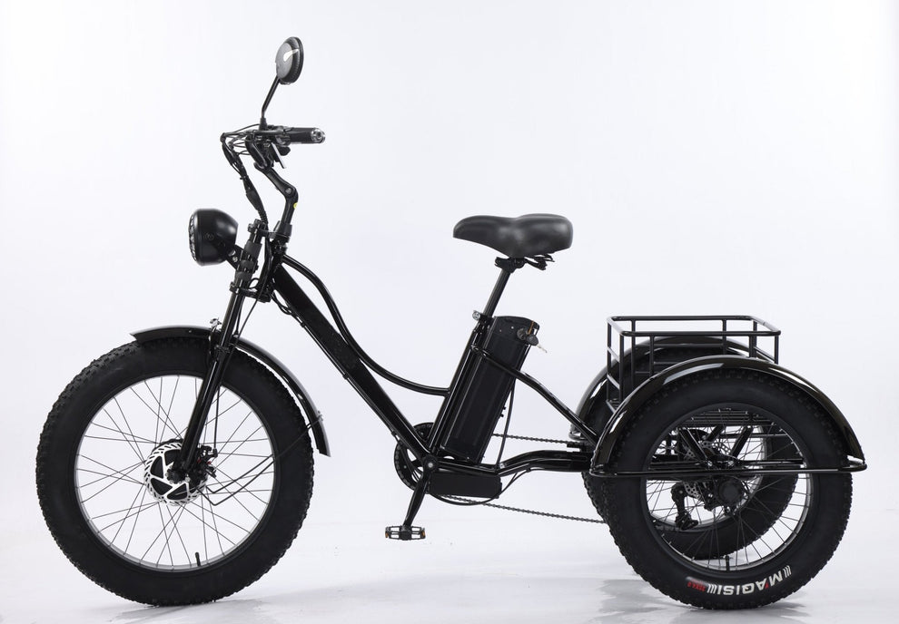 New 3-Wheel Fat Tire Electric Trike 750W Motor, Heavy-Duty 3-Wheel E-B ...