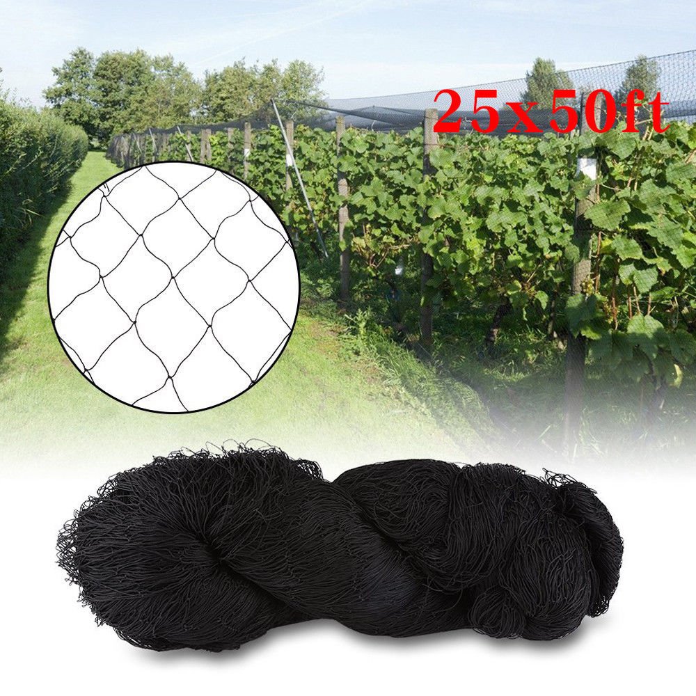 NEW Anti Bird Net 25 FT x 50 FT Game Net Chicken Net BN2550 – Uncle ...